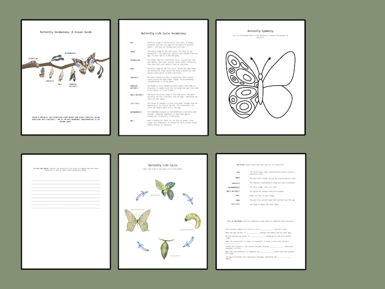 Butterfly Life Cycle Activity Pack | Homeschool Science Printable ...