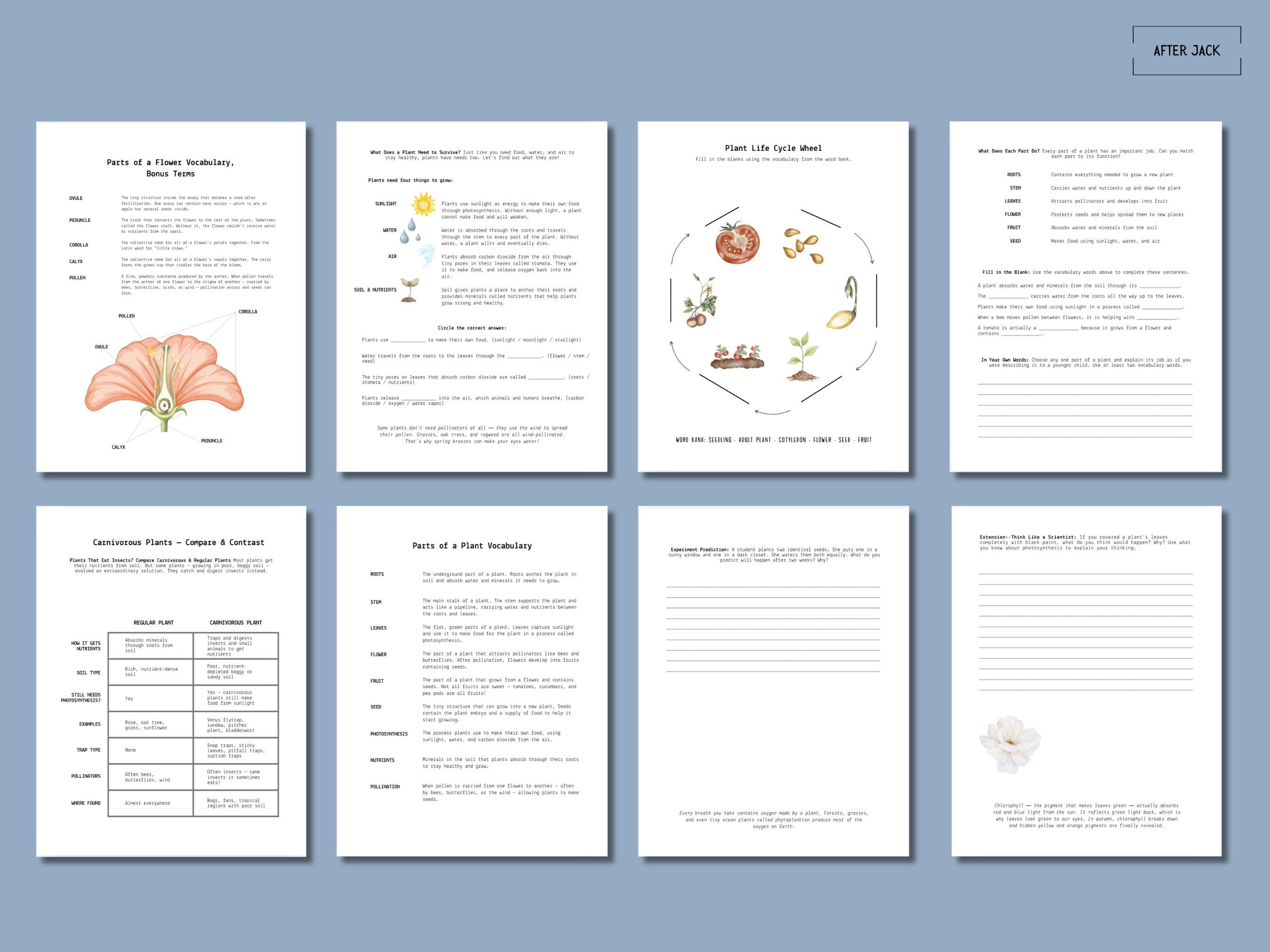 All About Plants Activity Pack | Homeschool Science Printable | Grades ...