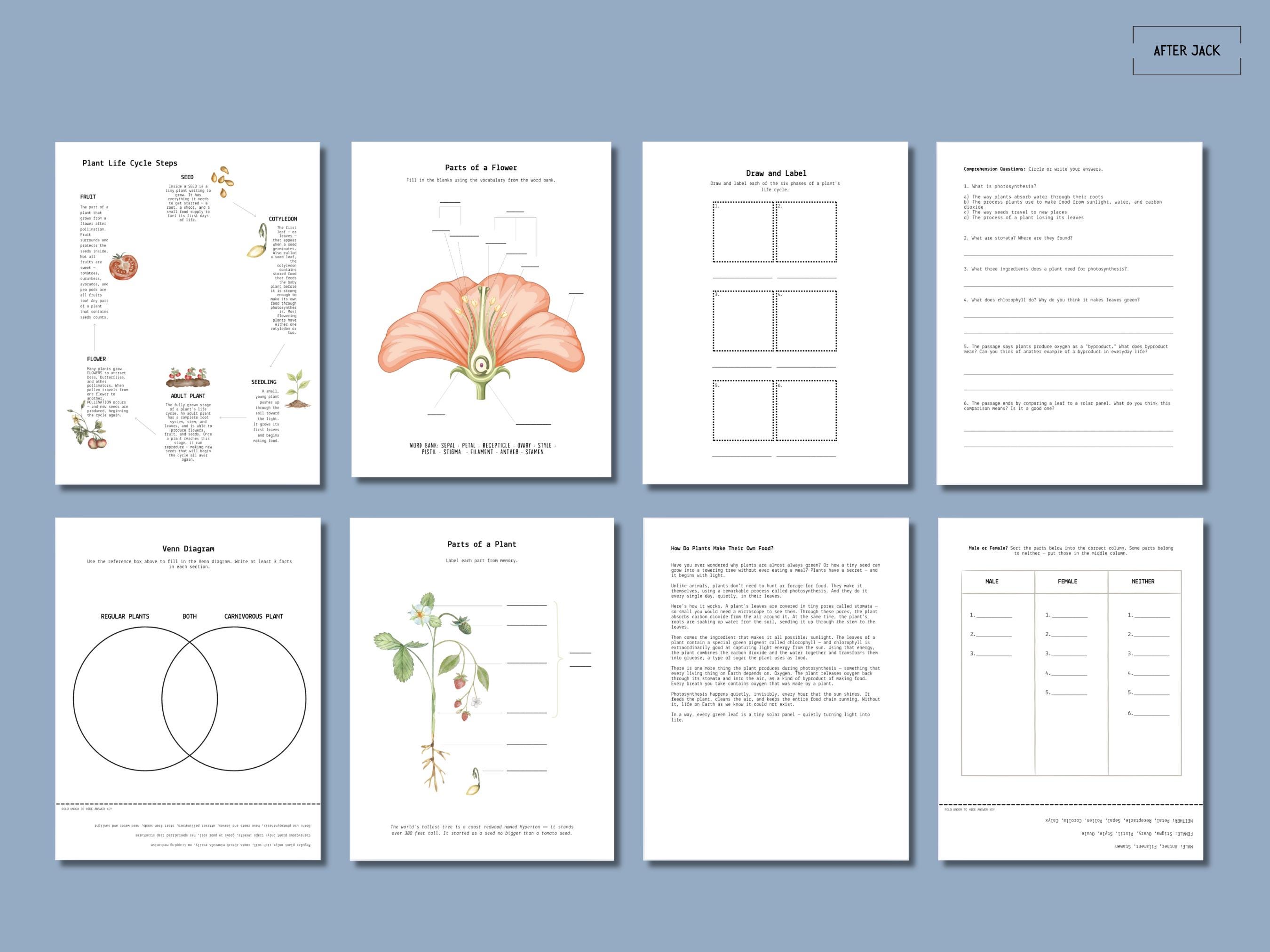 All About Plants Activity Pack | Homeschool Science Printable | Grades ...