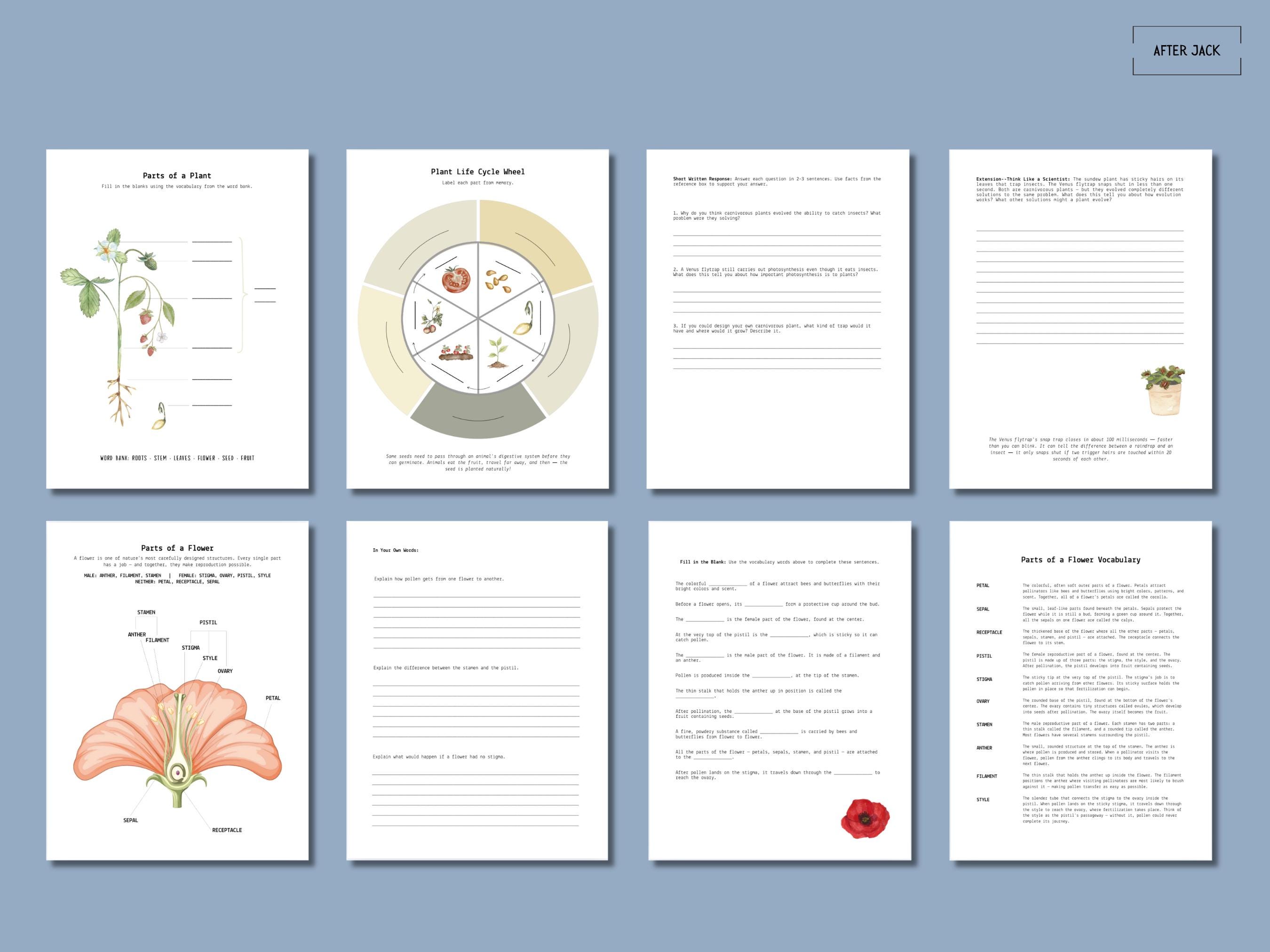 All About Plants Activity Pack | Homeschool Science Printable | Grades ...