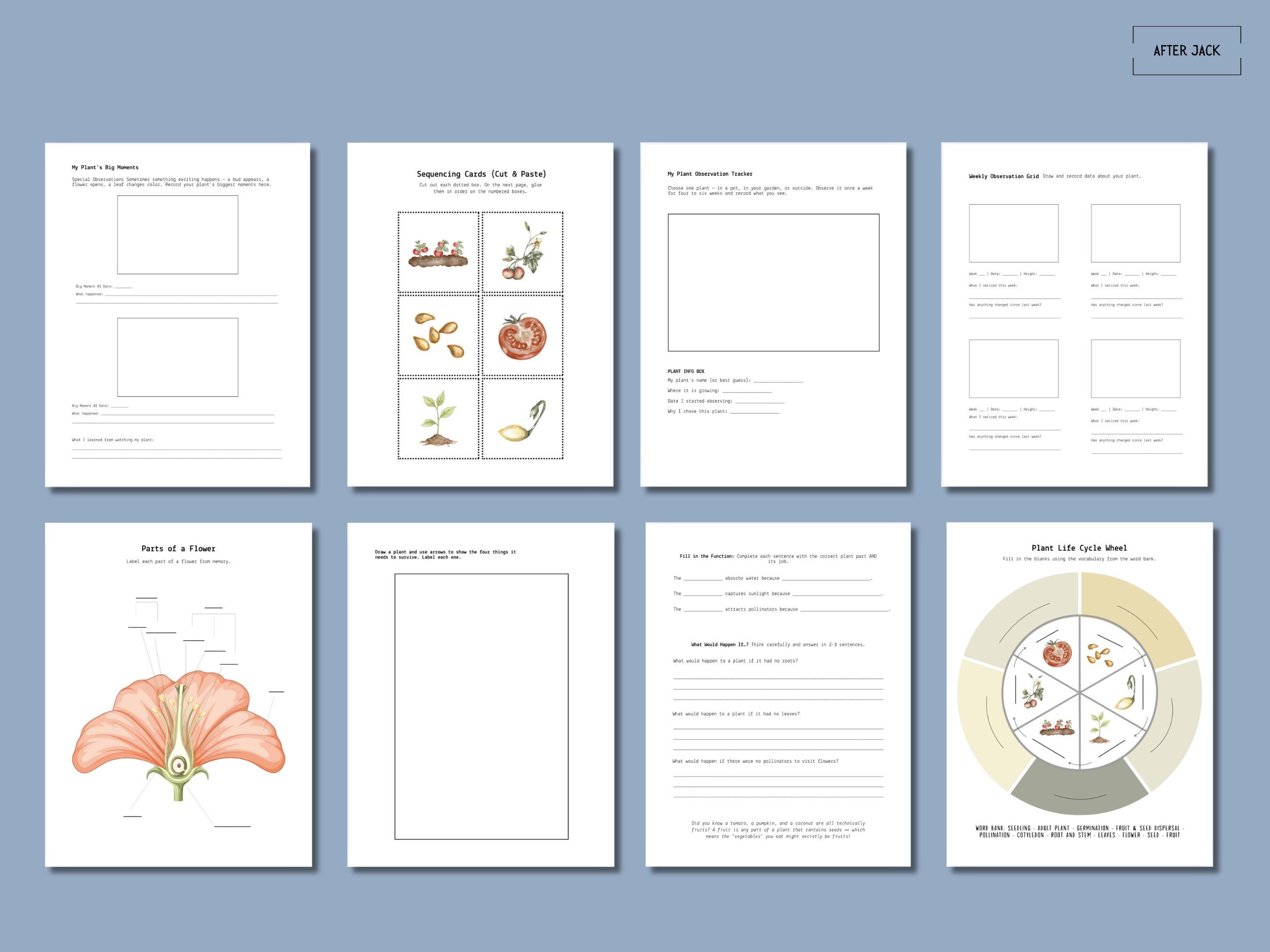 All About Plants Activity Pack | Homeschool Science Printable | Grades ...