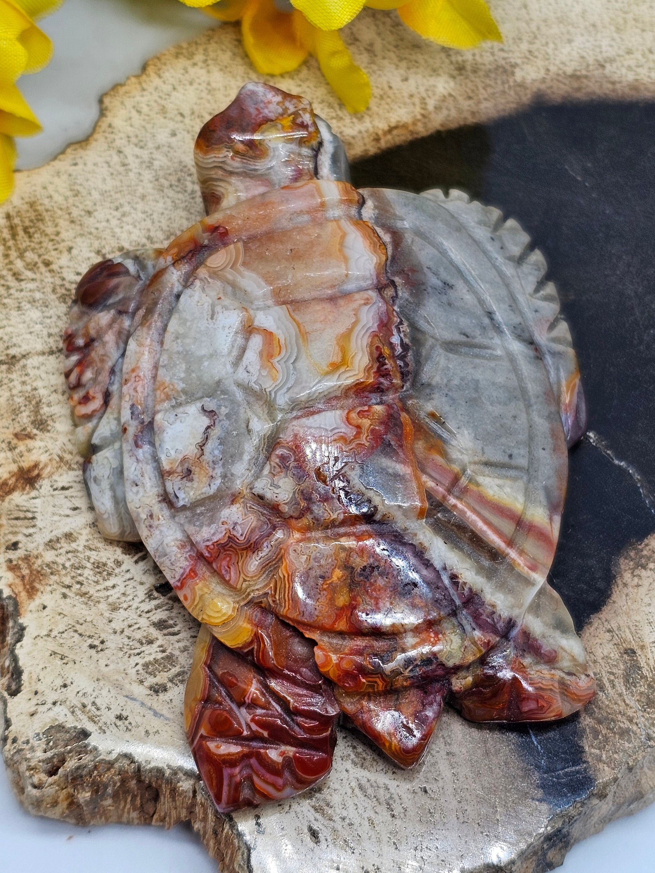 Exquisite Crazy Lace / Mexican Lace Agate Turtle Carving A Symphony of ...