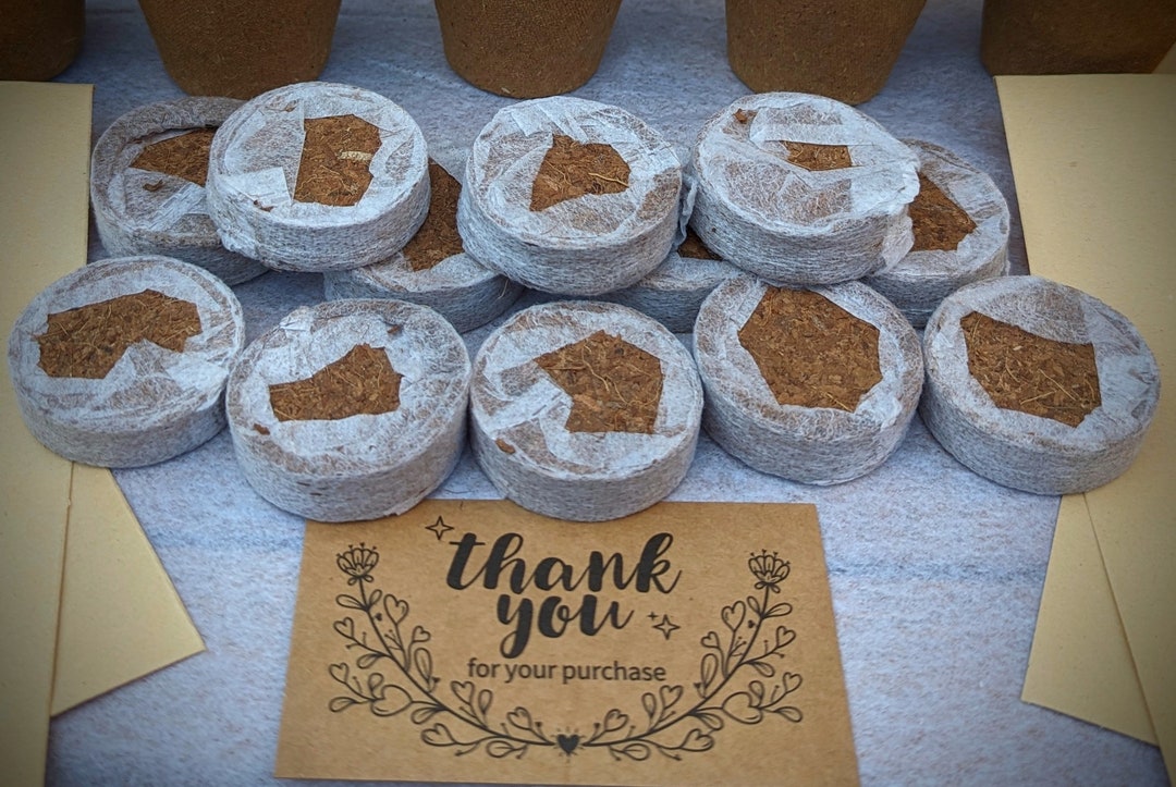 Eco Friendly Composting Coir Disc : Grow Your Own Fruit and Vegetables ...