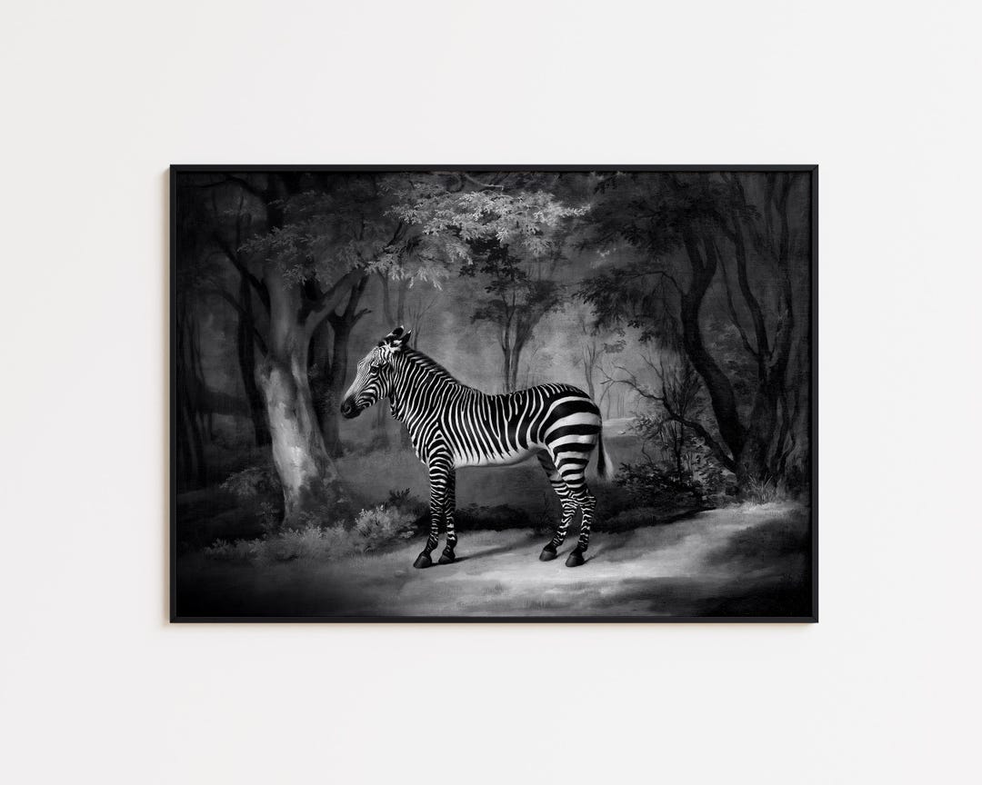 Zebra by George Stubbs in Black and White | Famous Paintings Prints ...