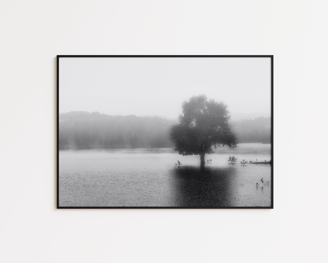 Misty Morning Print | Lake Wall Art | Black and White Prints | Lake ...