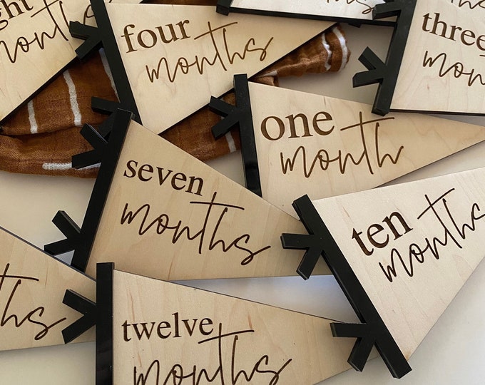 Baby Monthly Milestone Marker Pennant Flag Baby Photo Prop Modern Baby ...