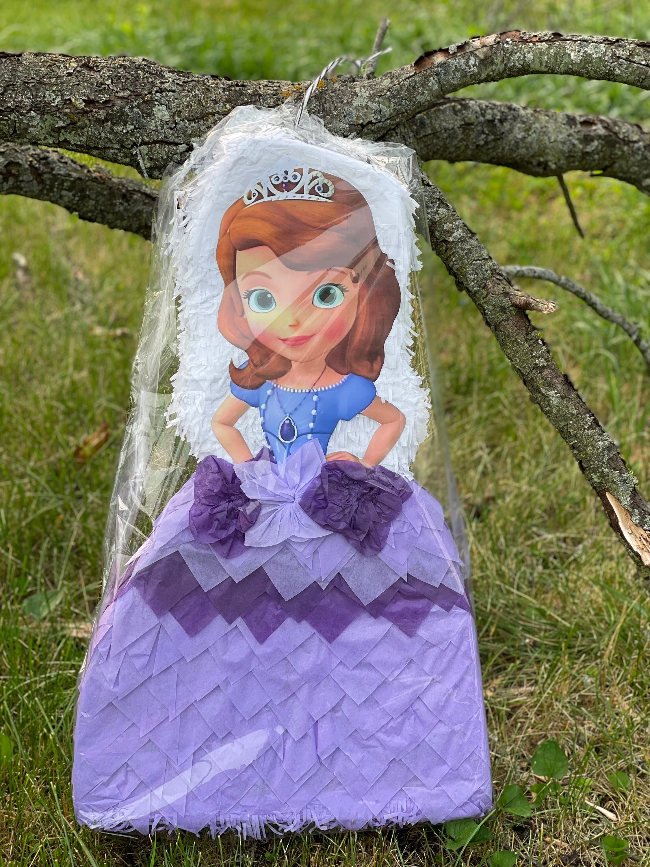 Princess Sofia Pinata! 27”x16”x4” Sofia the First Theme - Etsy