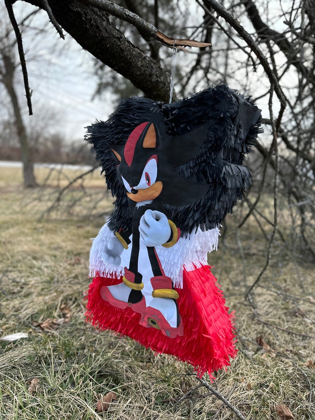 Shadow Pinata! 27”x 16”x 4” Shadow the Hedgehog Party Supplies - Etsy