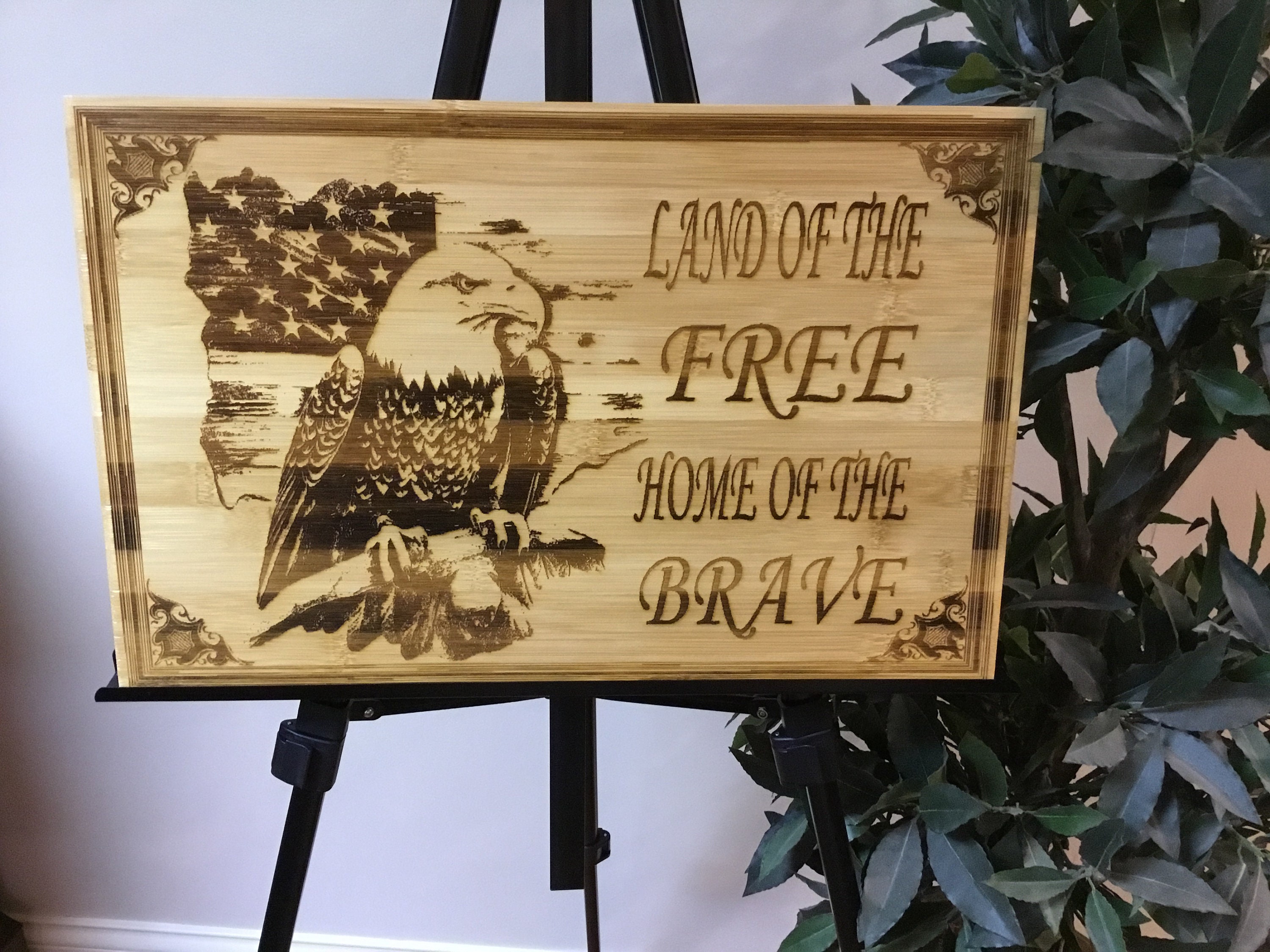 American Flag and Bald Eagle Plaque 18x 11 3/4 Bamboo Plywood Plaque ...