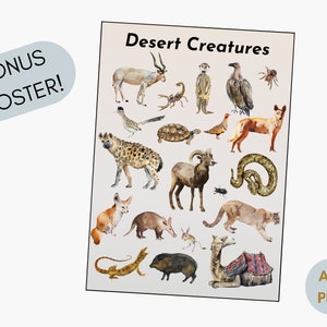 Desert Animals | Instant Download | Educational Flashcards| Learn ...