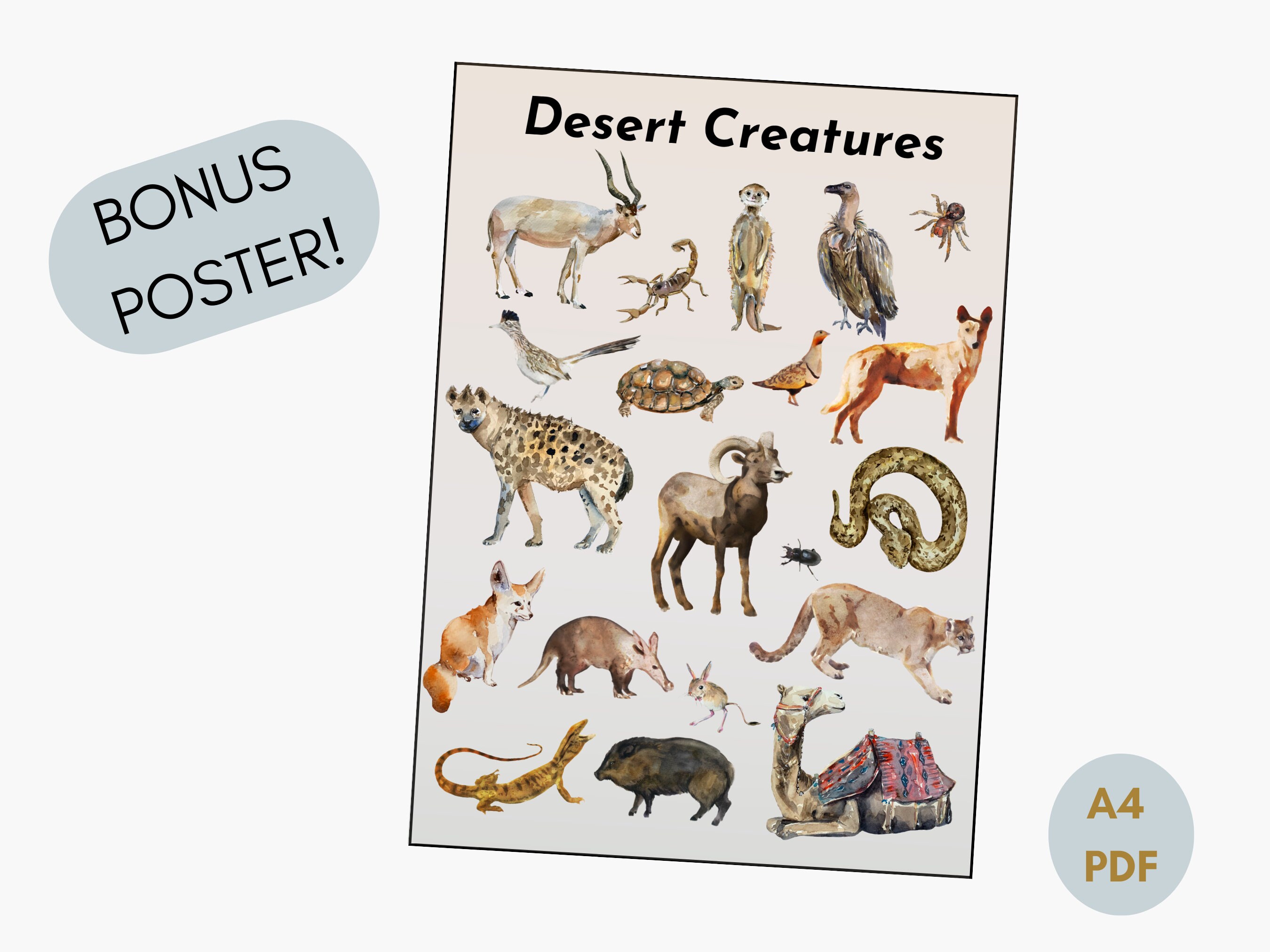 Desert Animals | Instant Download | Educational Flashcards| Learn ...