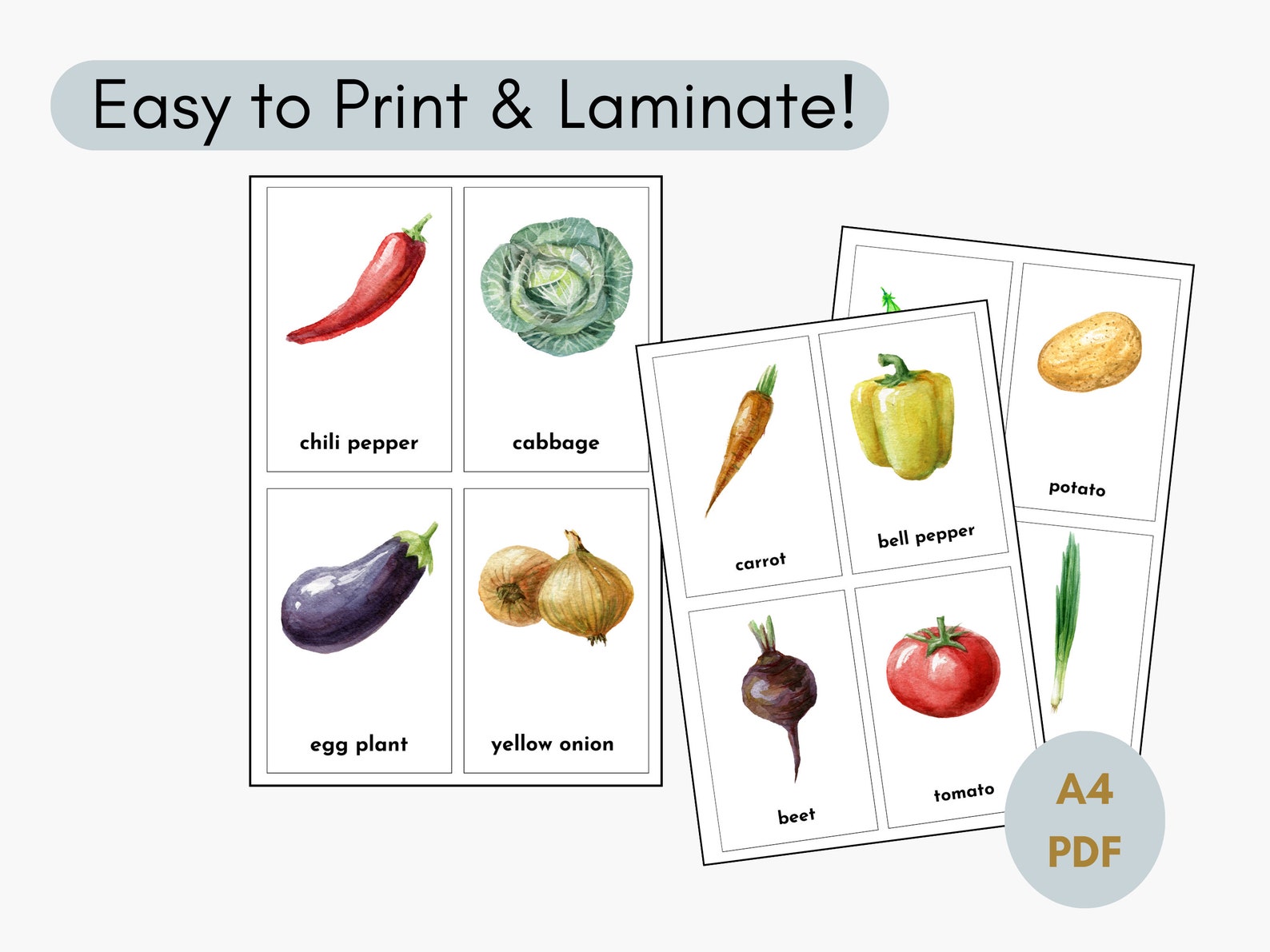 Vegetable Flashcards | Instant Download | Educational Flashcards ...