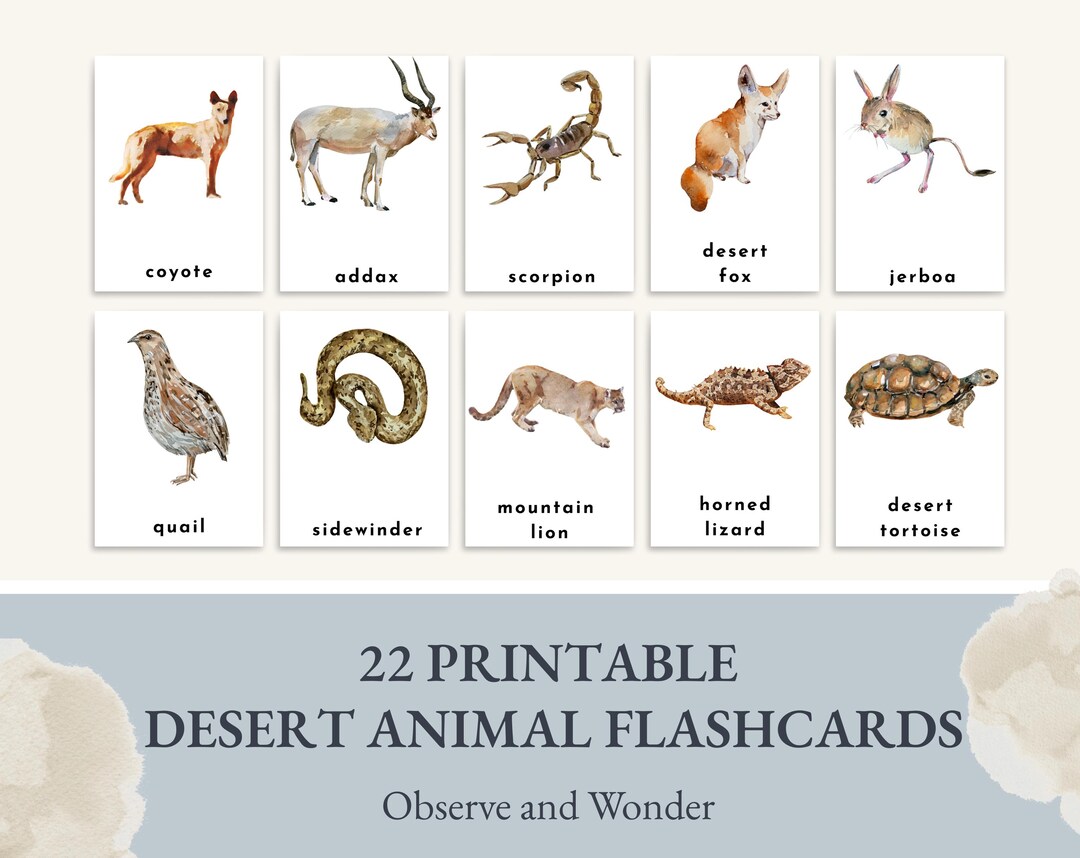 Desert Animal Flashcards | Instant Download | Nature Study| Learn ...