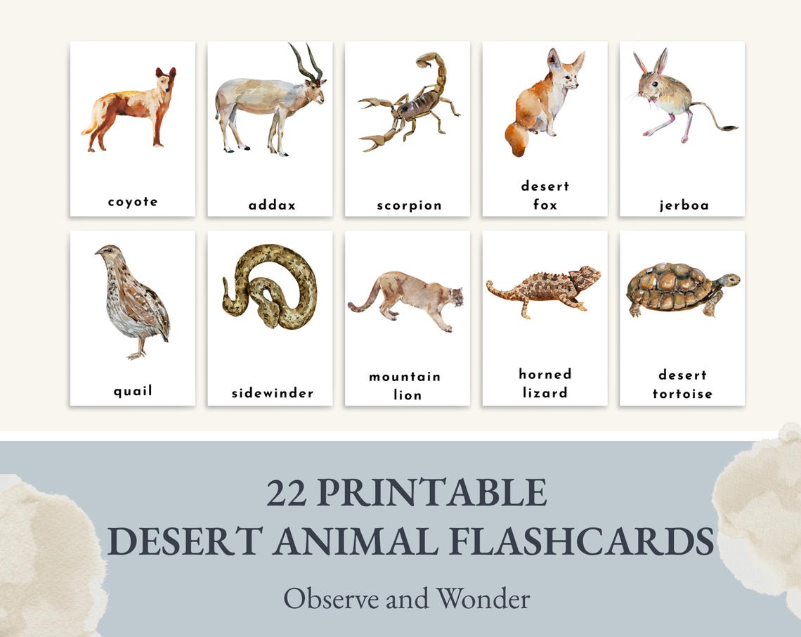 Desert Animal Flashcards | Instant Download | Nature Study| Learn ...