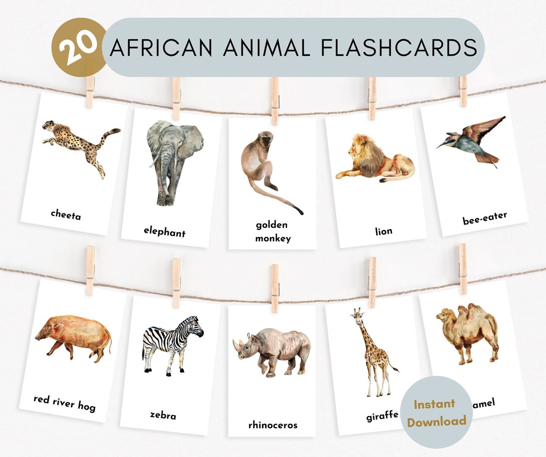 African Animals | Instant Download | Educational Flashcards | Learn ...