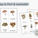 Mushroom Flashcards | Instant Download | Fungi Cards | Educational ...