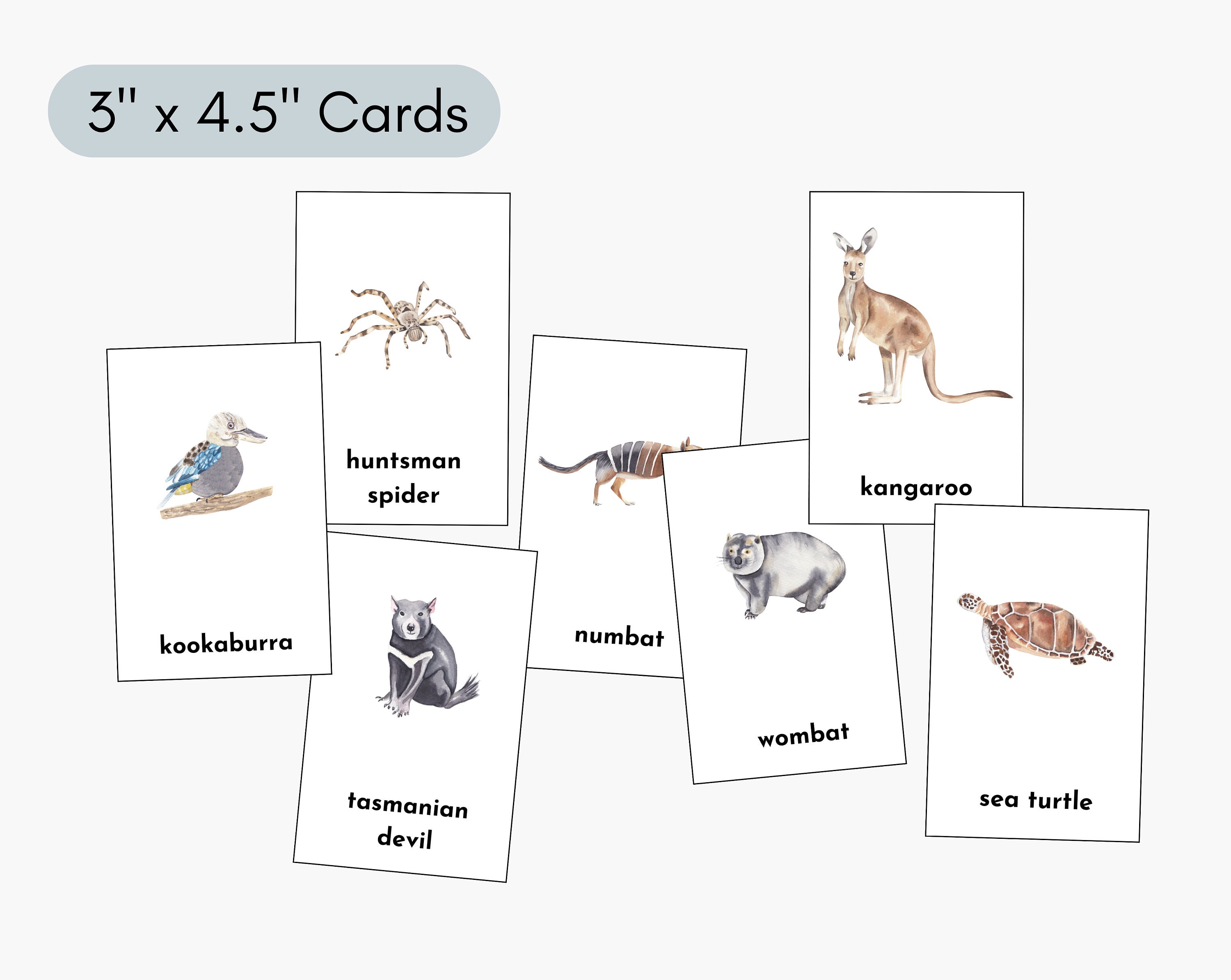 Australian Animals Instant Download Educational Flashcards Learn ...