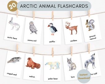 Desert Animals | Instant Download | Educational Flashcards| Learn ...