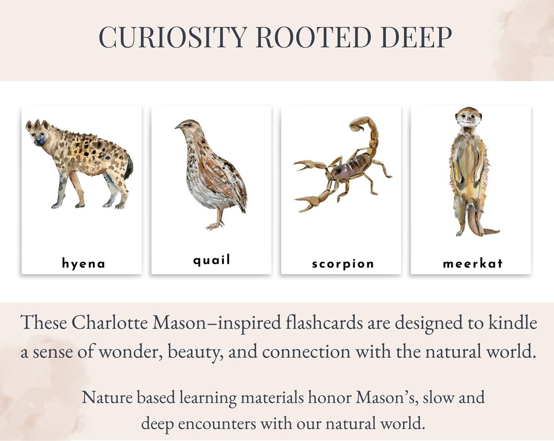 Desert Animal Flashcards | Instant Download | Nature Study| Learn ...