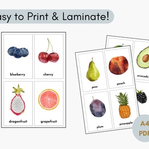 Fruit Flashcards Instant Download Educational Flashcards Learn Fruit ...