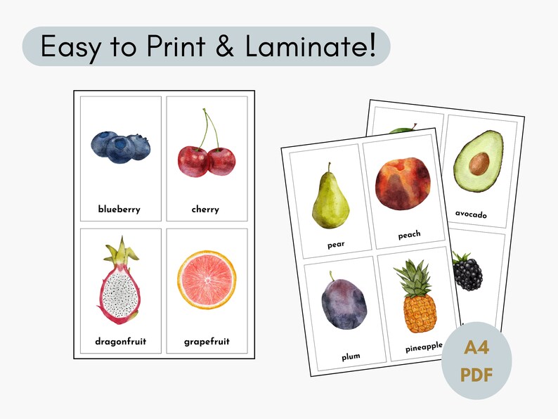 Fruit Flashcards | Instant Download | Educational Flashcards | Learn ...
