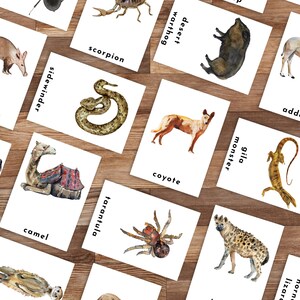 Desert Animal Flashcards: Montessori Homeschool Printable (instant ...