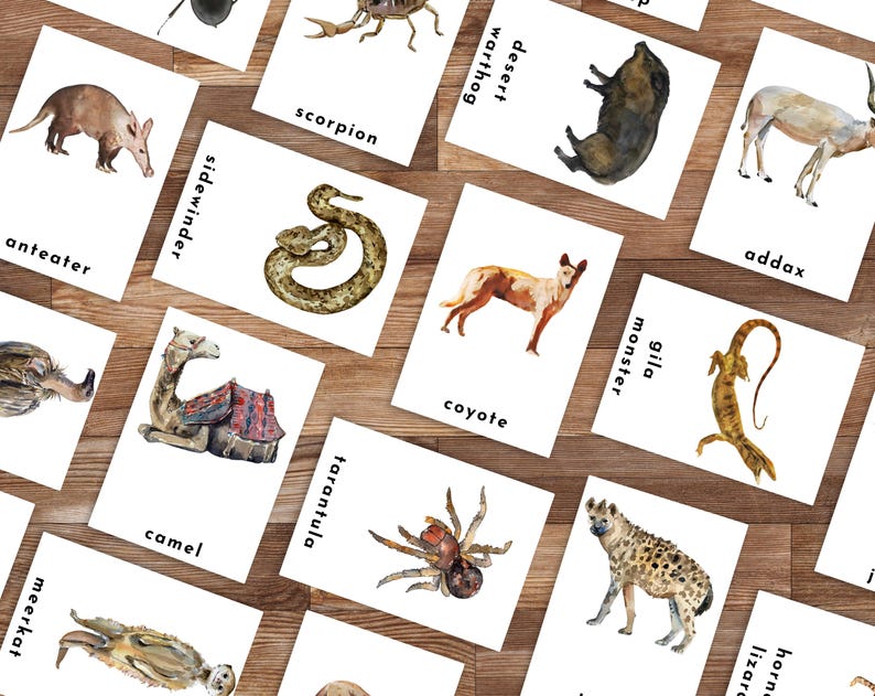 Desert Animal Flashcards | Instant Download | Nature Study| Learn ...