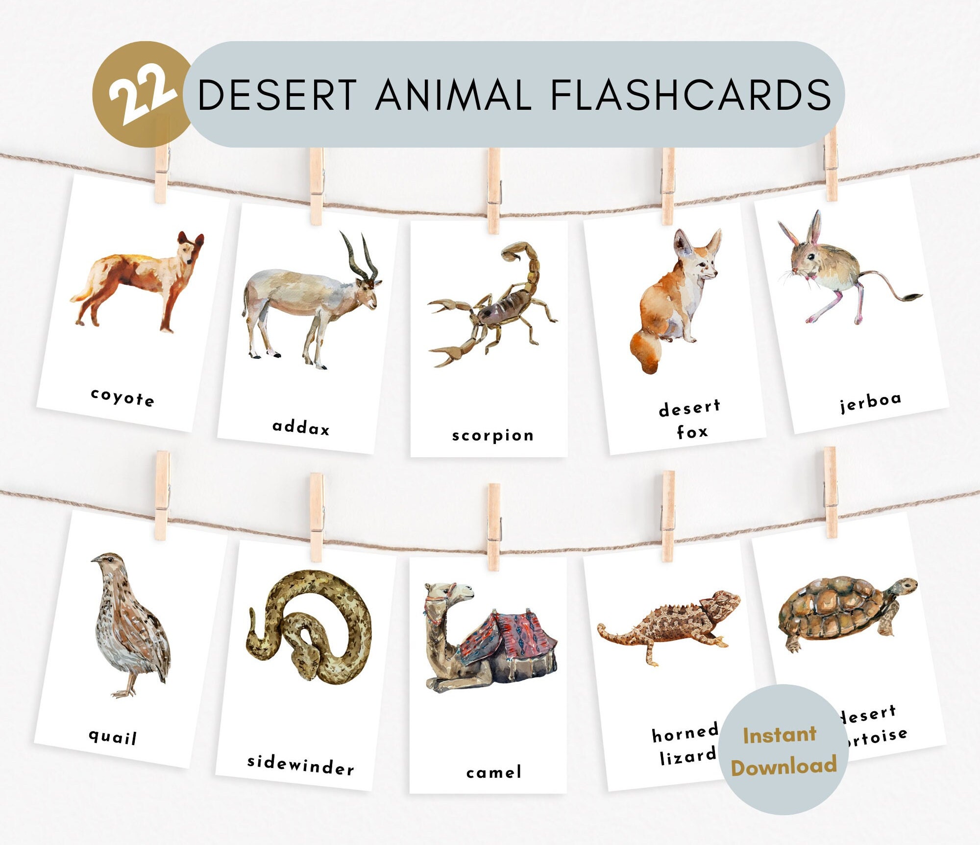 Desert Animals | Instant Download | Educational Flashcards| Learn ...