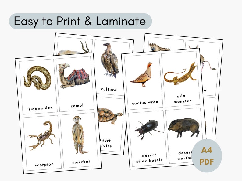 Desert Animals | Instant Download | Educational Flashcards| Learn ...