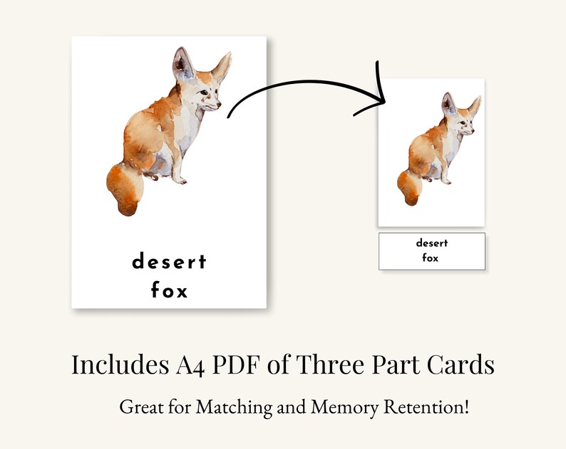 Desert Animal Flashcards | Instant Download | Nature Study| Learn ...