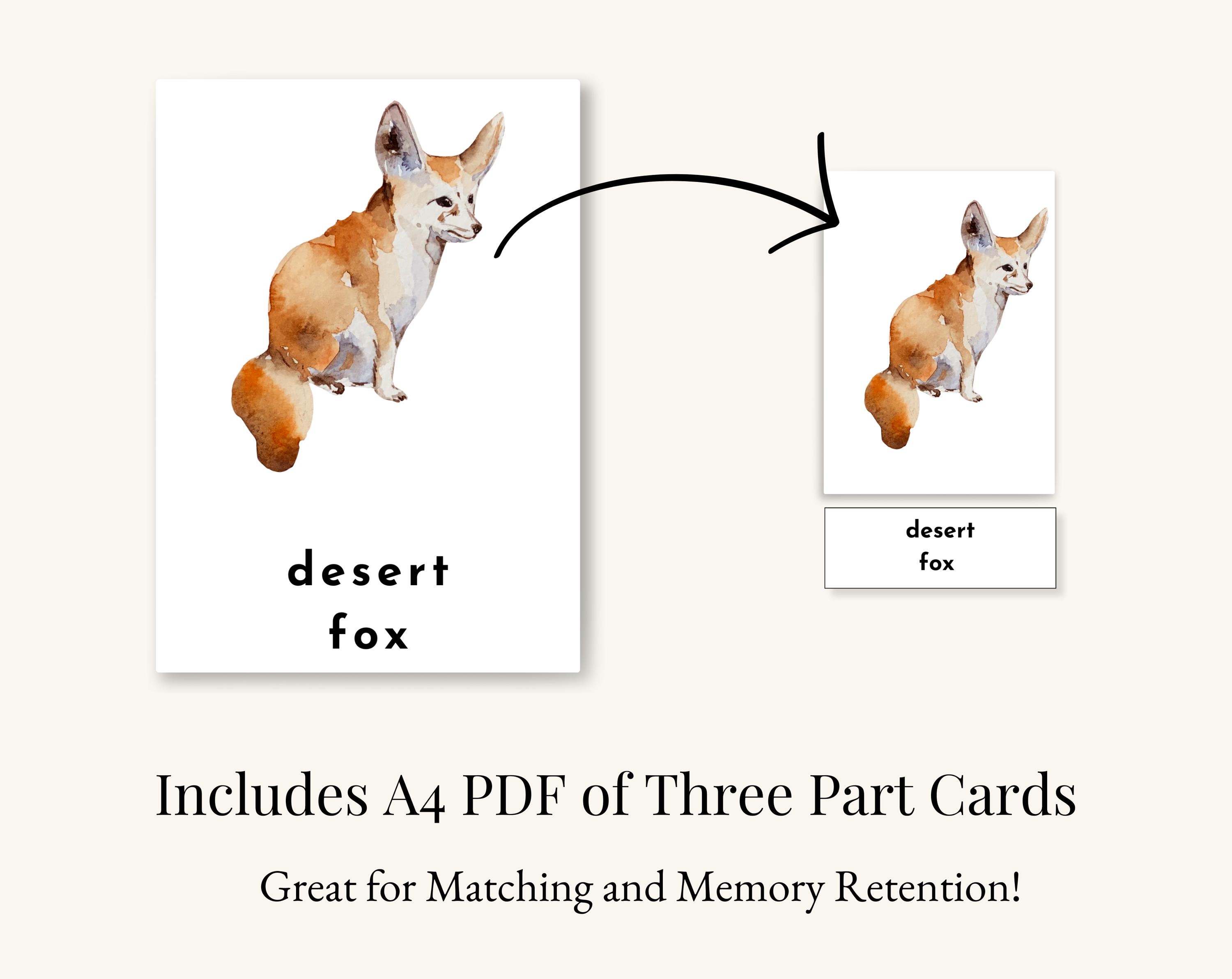 Desert Animal Flashcards: Montessori Homeschool Printable (instant ...