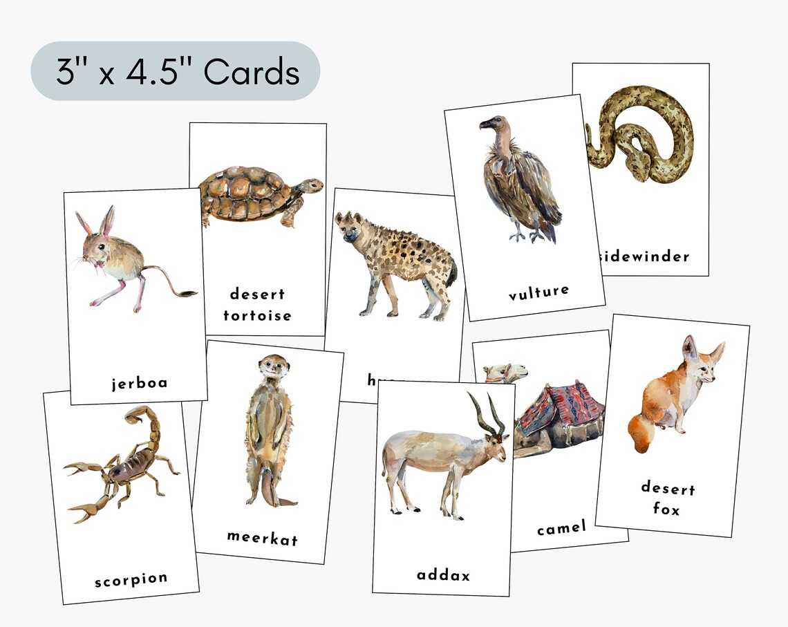 Desert Animals | Instant Download | Educational Flashcards| Learn ...