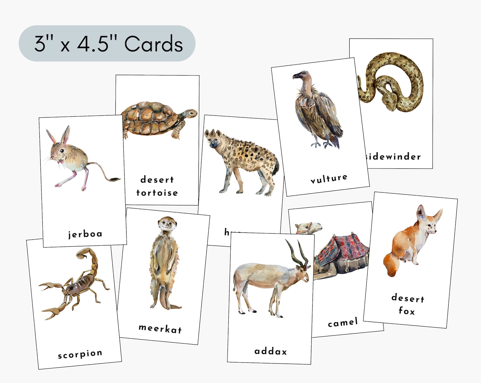 Desert Animals | Instant Download | Educational Flashcards| Learn ...