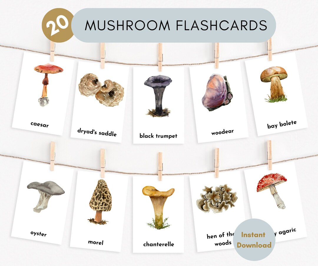 Mushroom Flashcards | Instant Download | Fungi Cards | Educational ...