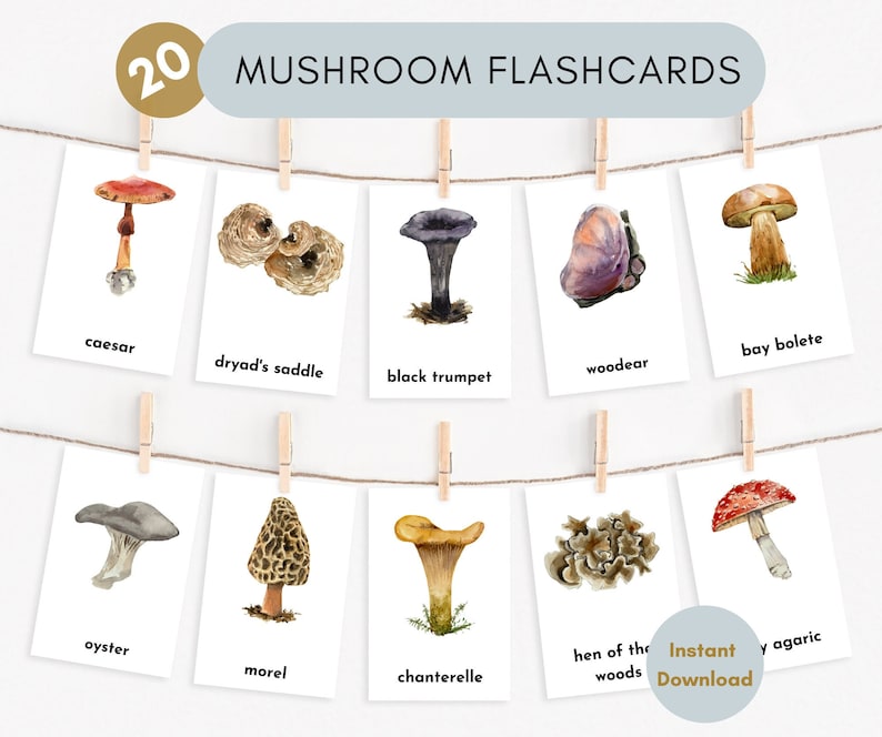 Mushroom Flashcards | Instant Download | Fungi Cards | Educational ...