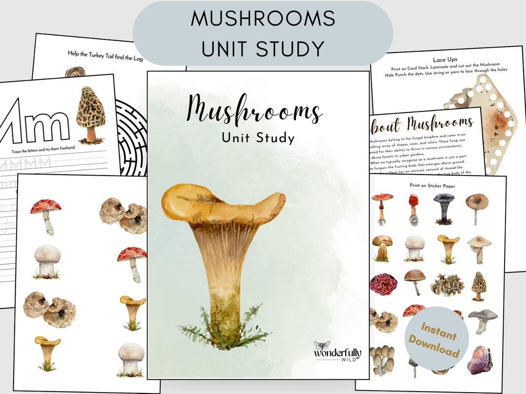 Mushroom Unit Study | Mushroom Unit | Busy Book | Nature Study ...