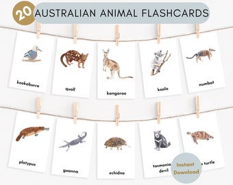 Desert Animals | Instant Download | Educational Flashcards| Learn ...