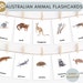 Desert Animals | Instant Download | Educational Flashcards| Learn ...