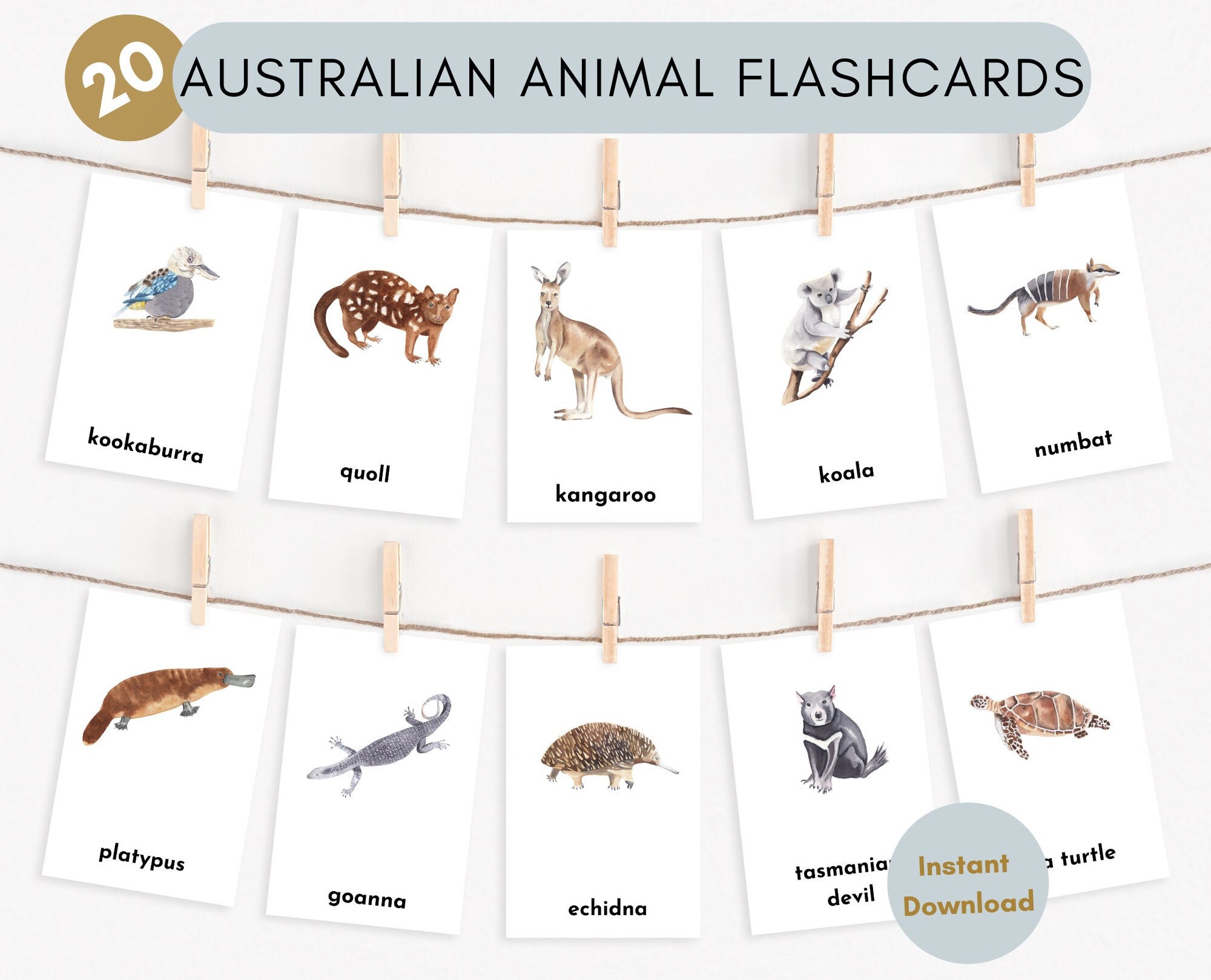 Australian Animals Instant Download Educational Flashcards Learn ...