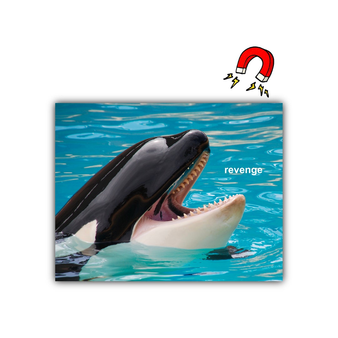 Orca Revenge Magnet - Etsy