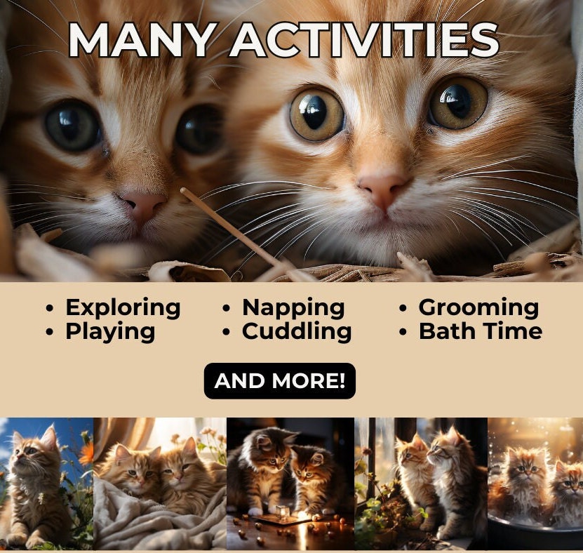 Kittens Image Set, Huge Set of 250 High-quality Digital Images of ...