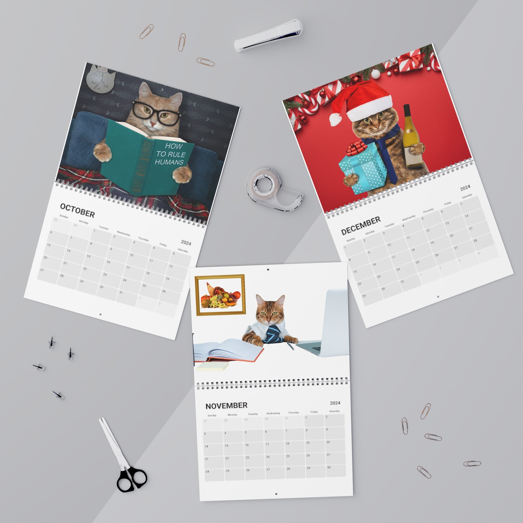 Funny Cat Wall Calendar for Cat Lover, Monthly Cat Calendar Gift for ...