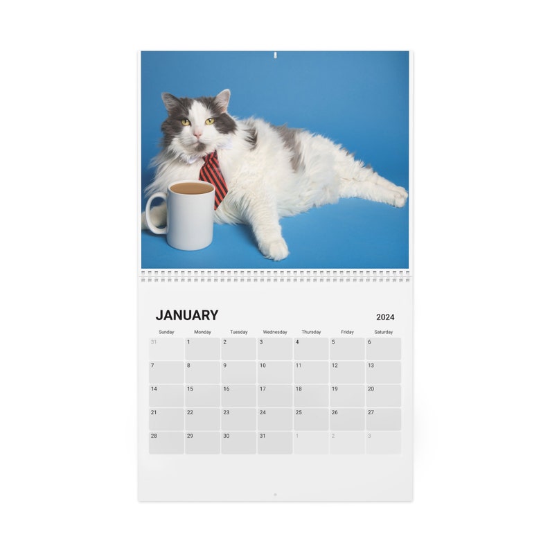 Funny Cat Wall Calendar for Cat Lover, Monthly Cat Calendar Gift for ...