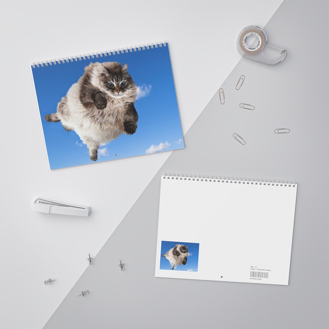 Funny Cat Wall Calendar for Cat Lover, Monthly Cat Calendar Gift for ...