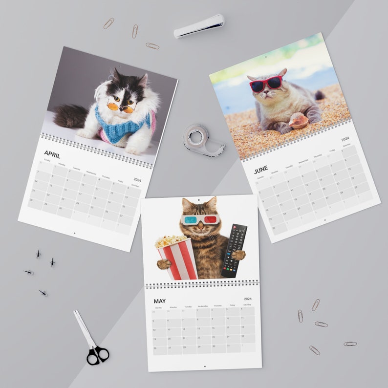 Funny Cat Wall Calendar for Cat Lover, Monthly Cat Calendar Gift for ...