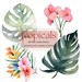 Tropical Watercolor Clipart Summer Clipart Tropical - Etsy
