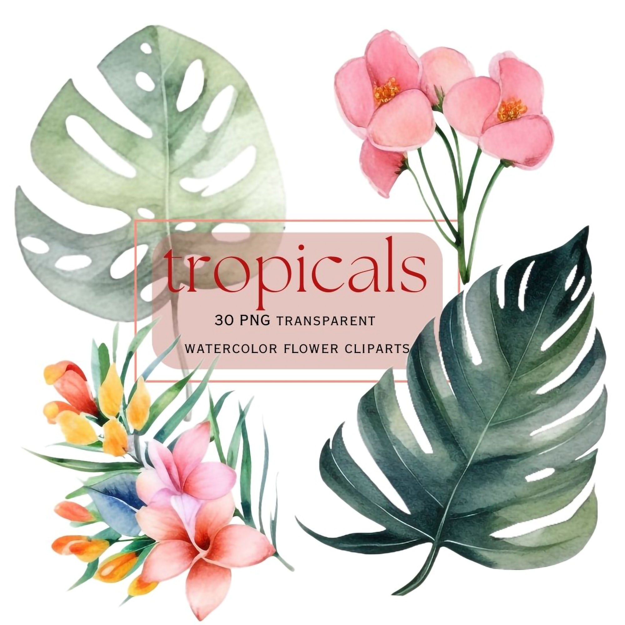 Tropical Watercolor Clipart Summer Clipart Tropical Clipart Tropical ...