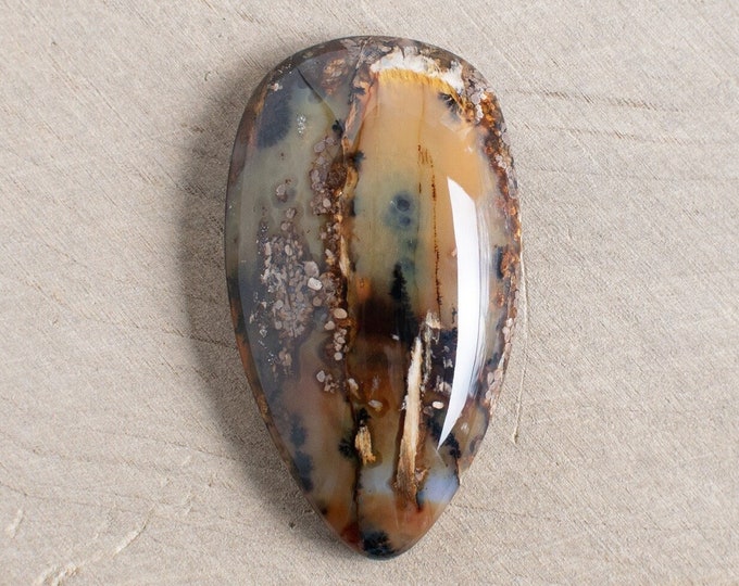 Yellowstone River Petrified Wood Cabochon, Agatized Wood, Designer ...