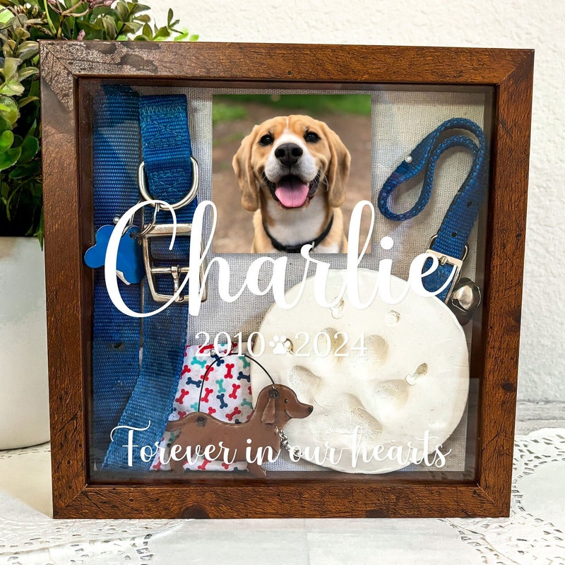 Pet Memorial Shadow Box - Etsy