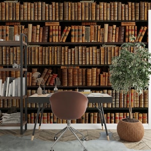 Realistic Library Books on Bookshelf Wallpaper on Removable Peel Stick ...